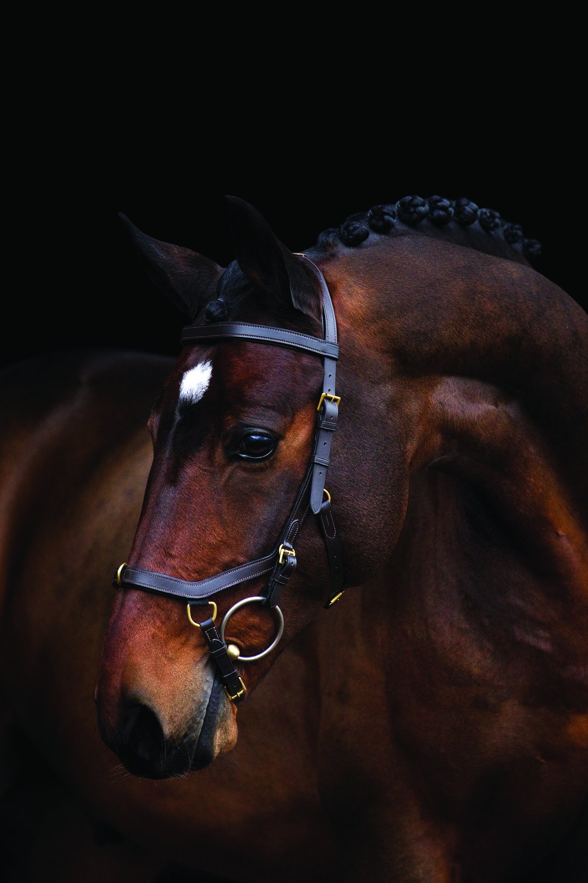 Rambo Micklem Multibridle